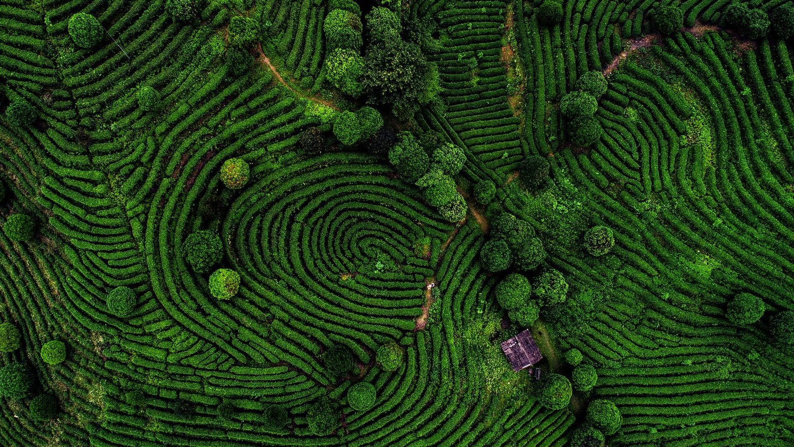 ERP Service & Support jetzt entdecken | proALPHA ERP