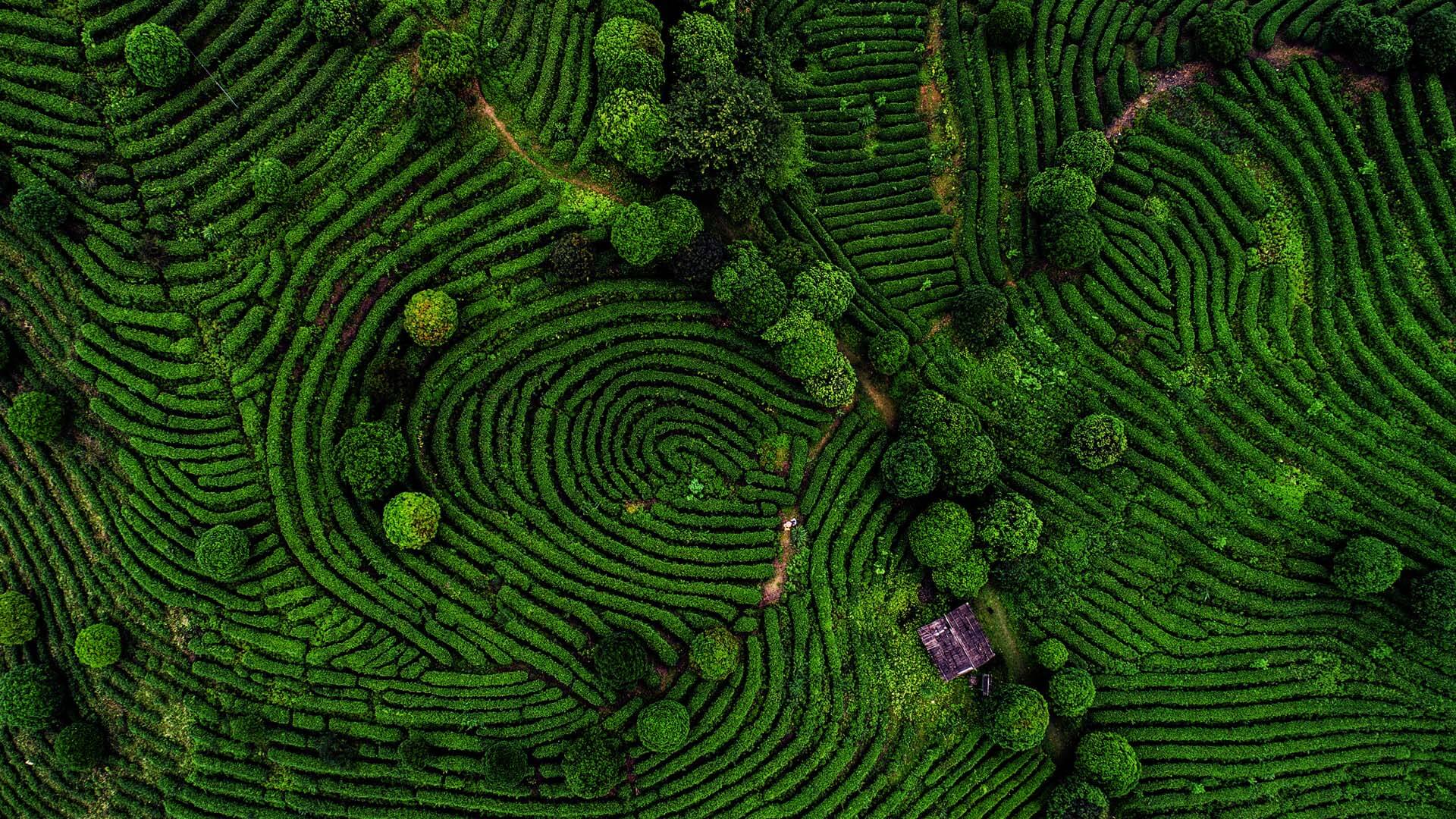 User Platform | proALPHA ERP