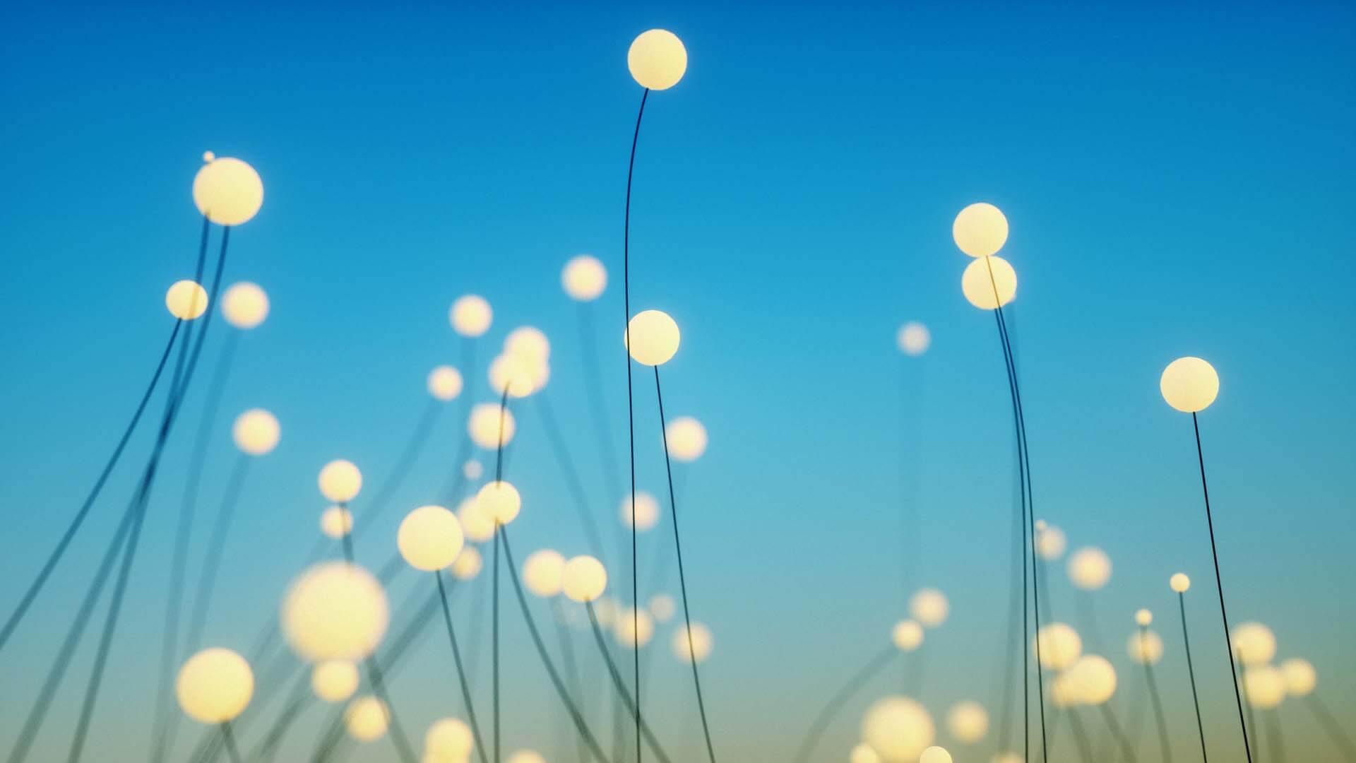 User Platform | Proalpha ERP